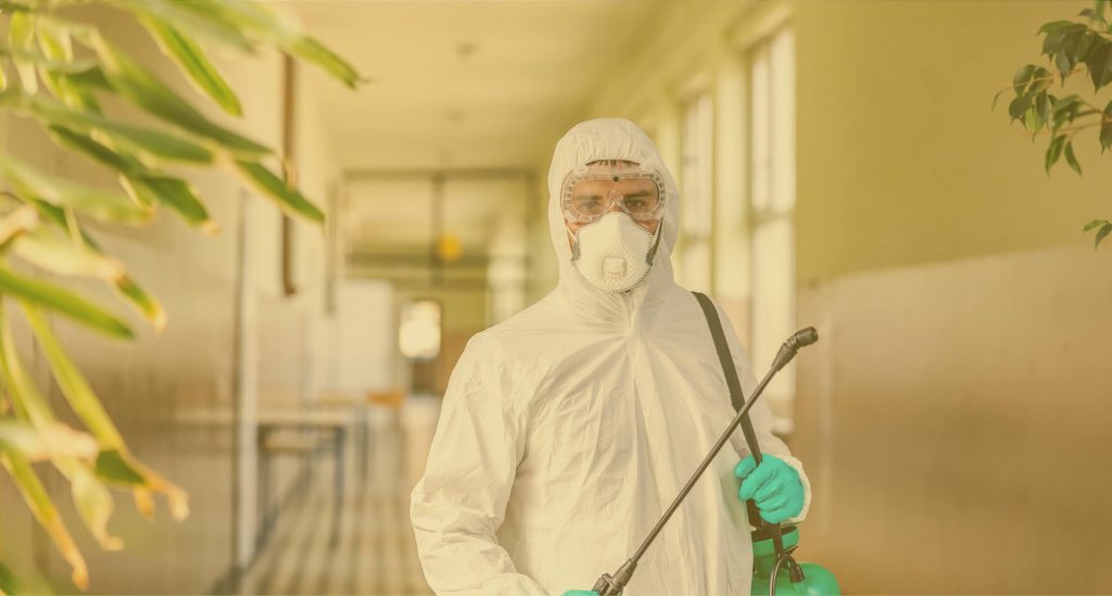 Greenecopest | Aπεντόμωση Απολύμανση Μυοκτονία Θεσσαλονίκη